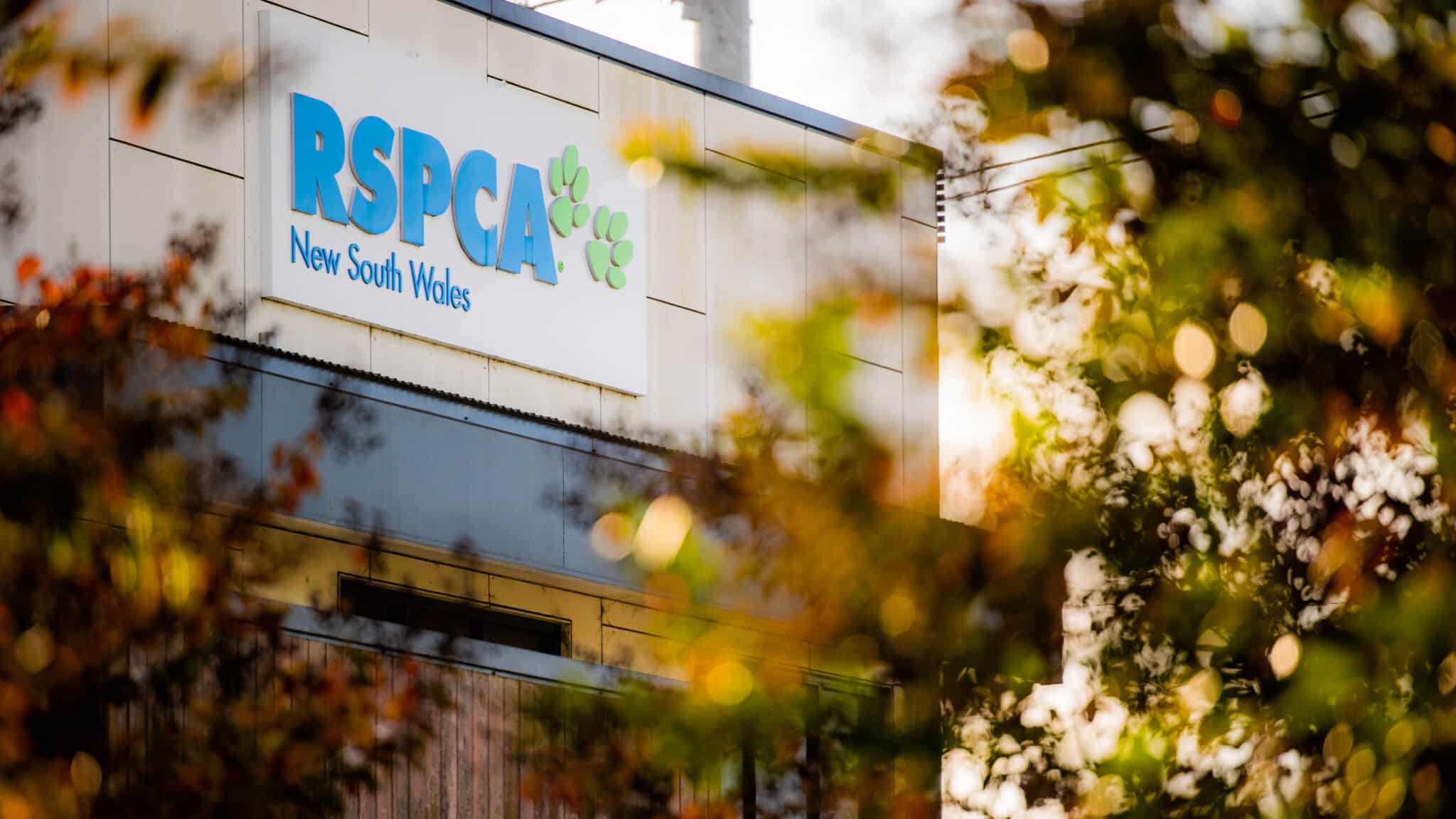 Support Services - RSPCA New South Wales