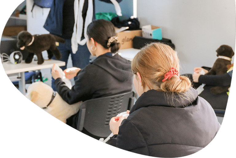 RSPCA Training Courses | Accredited & Short Courses NSW