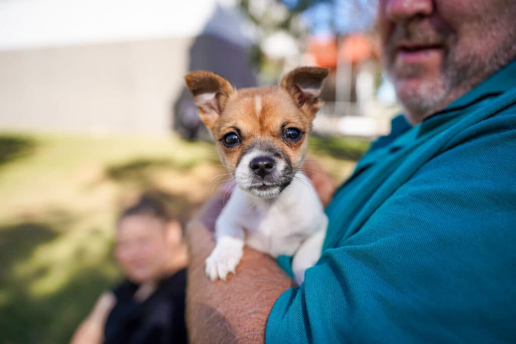 RSPCA NSW Community Outreach | Animal Carer Support