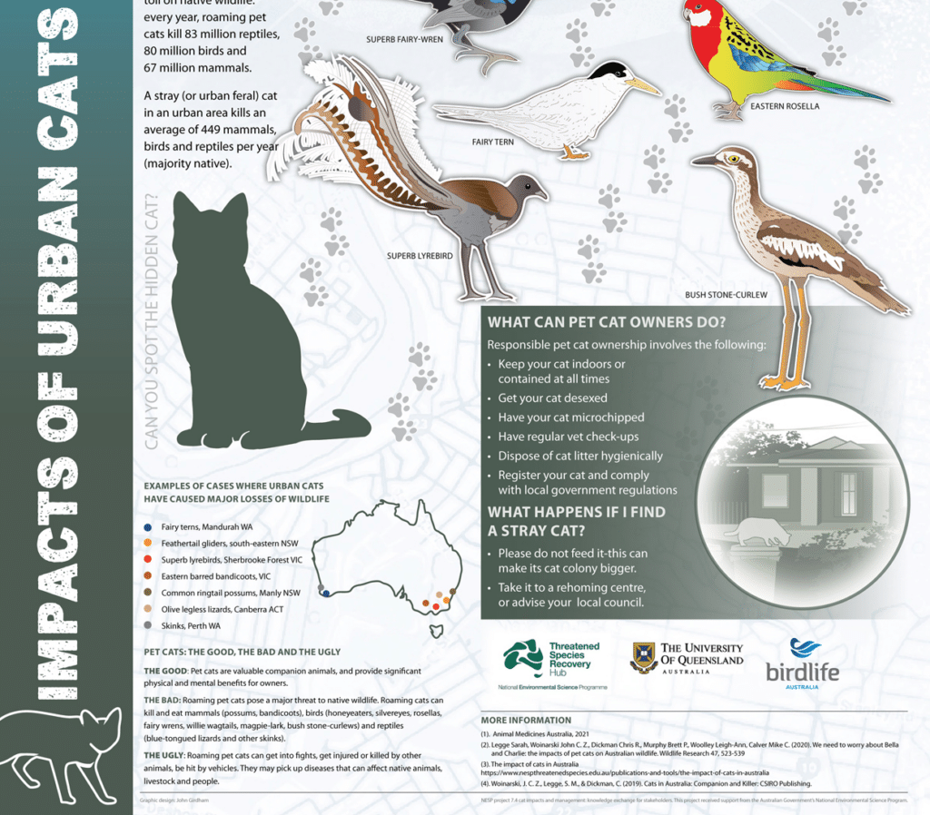 Cat Resources - RSPCA New South Wales