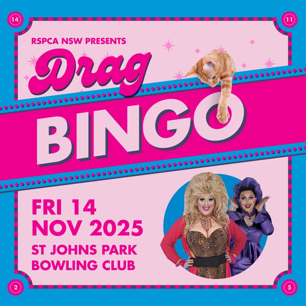 RSPCA NSW to Host First Ever Drag Bingo Fundraiser - RSPCA New South Wales