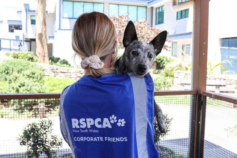 Corporate Experiences - RSPCA New South Wales